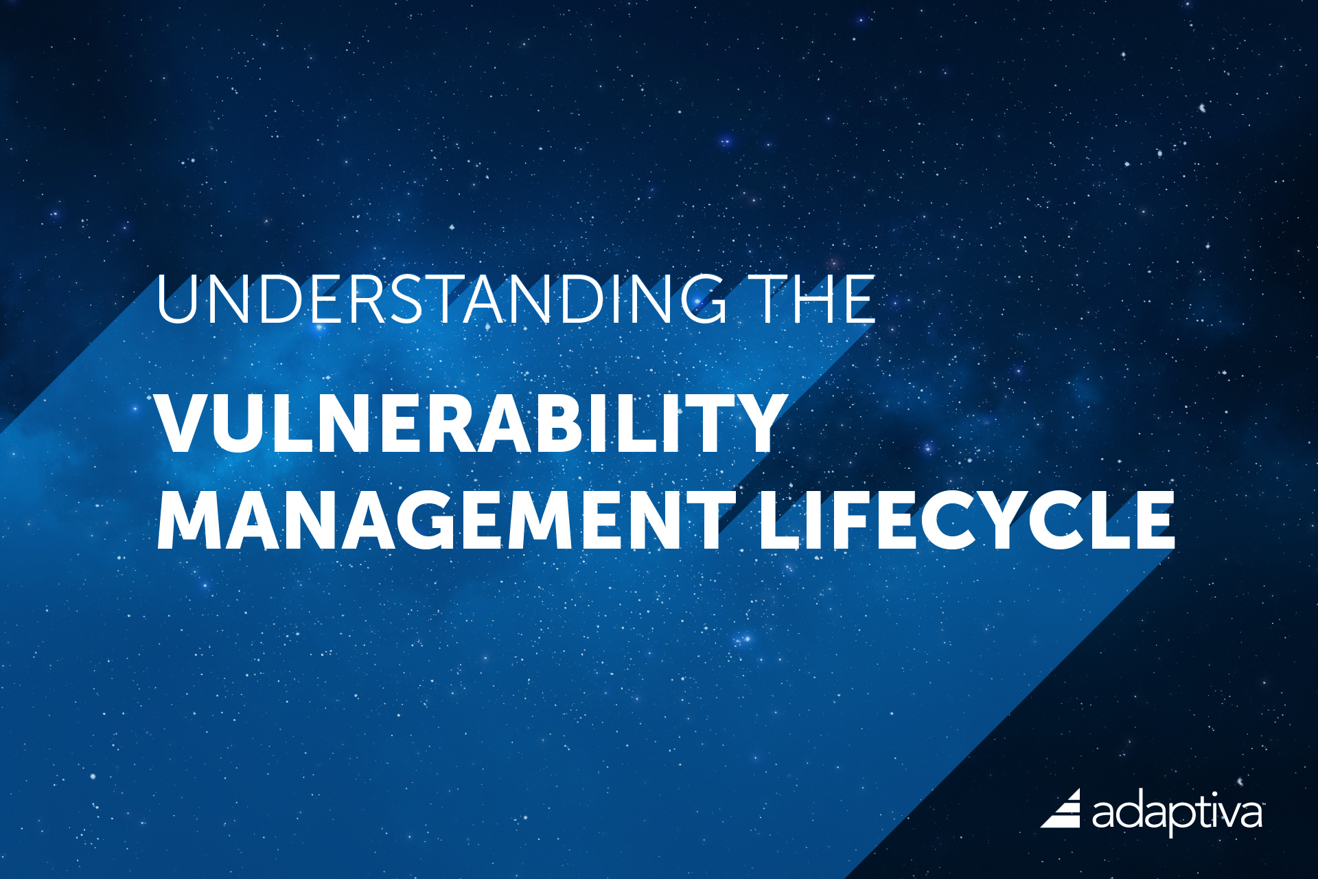 Understanding the Vulnerability Management Lifecycle